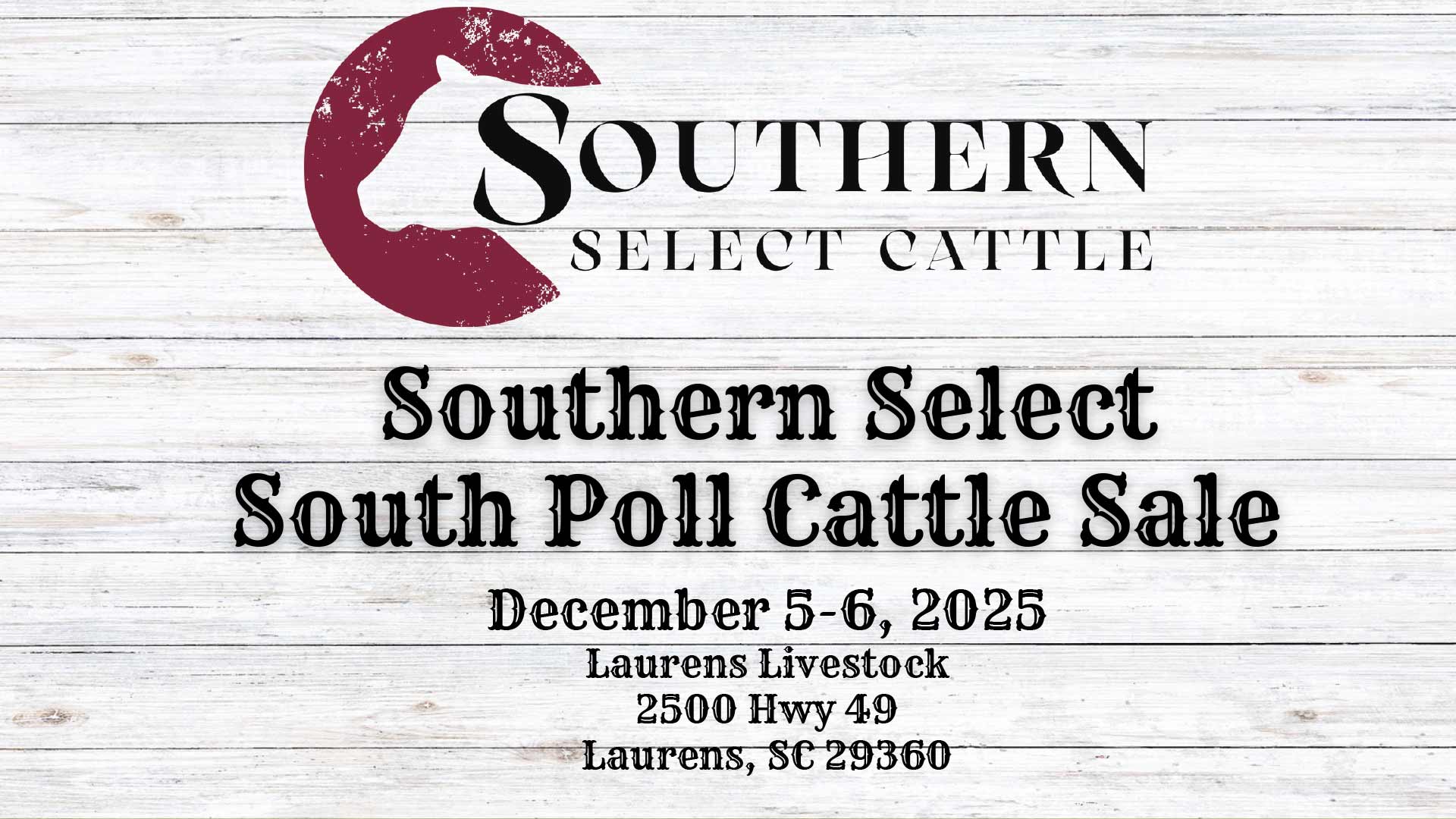 2025 SOUTHERN SELECT SOUTH POLL CATTLE SALE