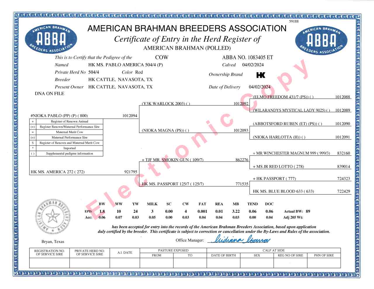 LOT 14 - HK MS. PABLO AMERICA 504/4 (P)