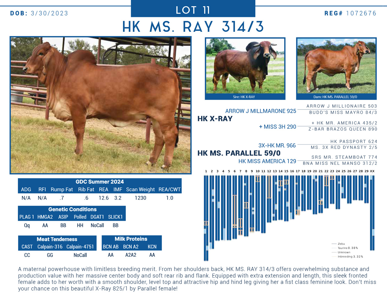 LOT 11 - HK MS. RAY 314/3