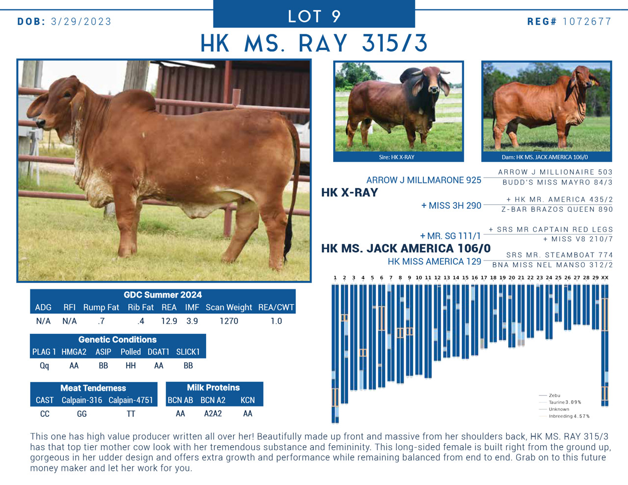 LOT 09 - HK MS. RAY 315/3