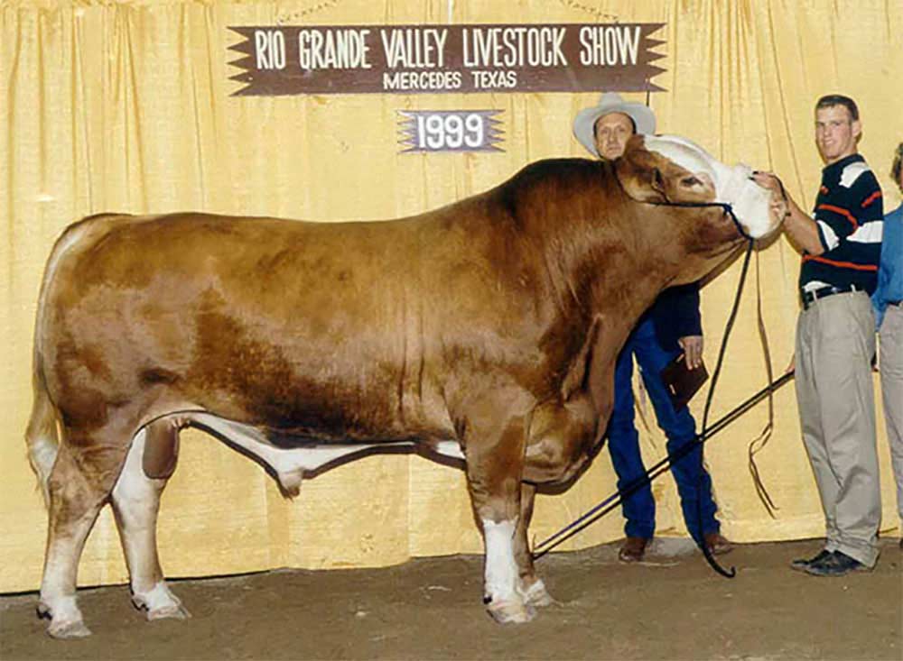 LOTE 25 - BONINA FUTURISTIC 6309 F